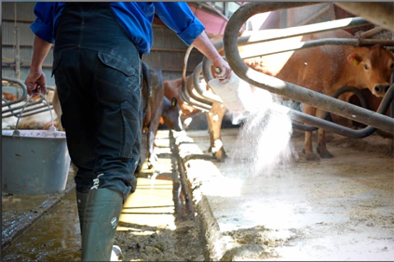 Natural hygiene powder for effective barn moisture and bacteria control
