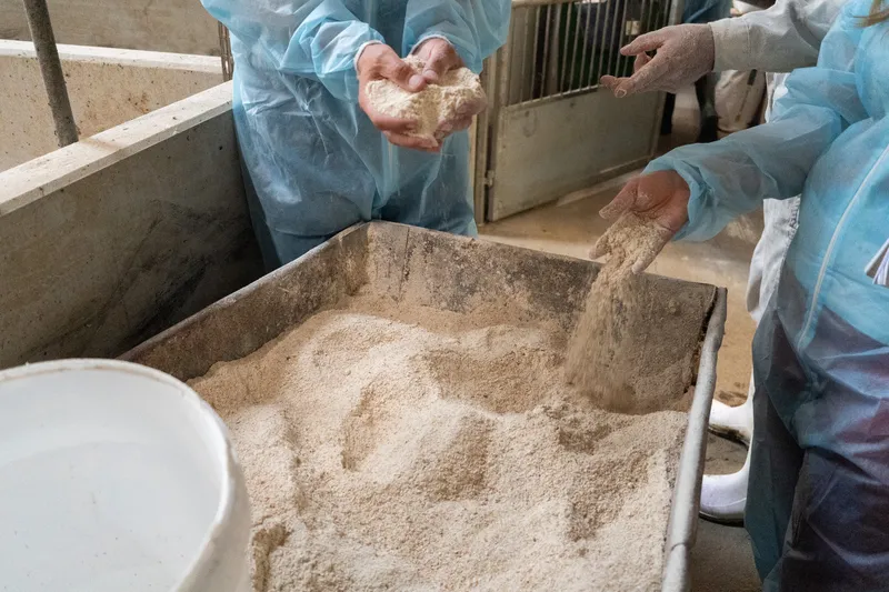 Meeting the nutritional need of your livestock