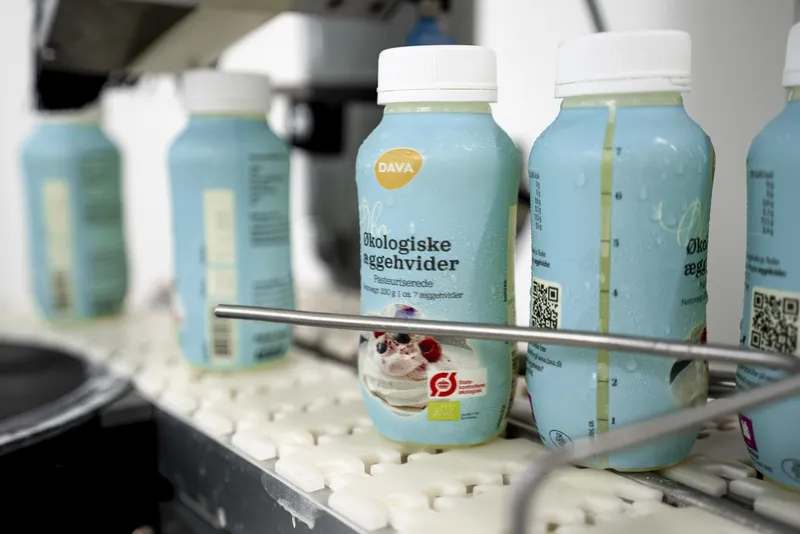 Egg Whites