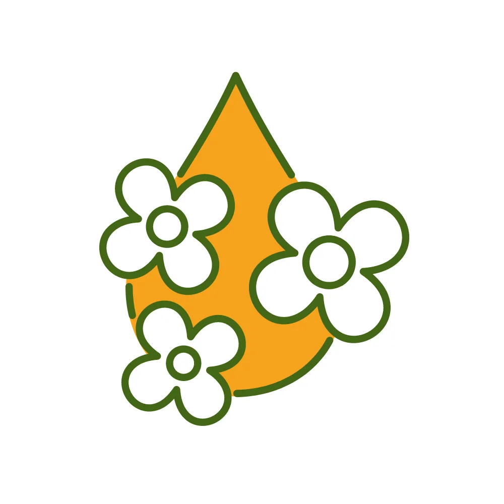 About Scanola Baltic factory