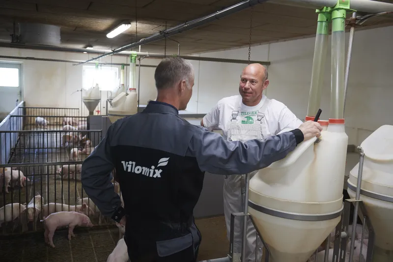 How to prevent and treat constipation in lactating sows