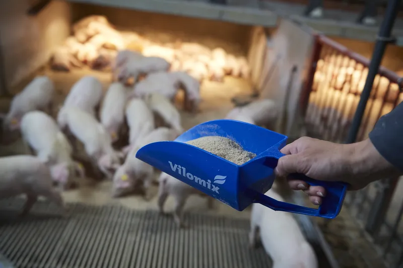 Vilomix Group, feeding the future.